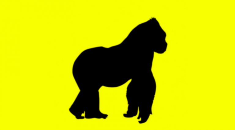 rusowsky - Daisy (Rusia-IDK/Warner) - Muzikalia